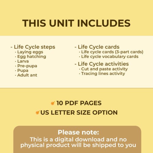 Ant Life Cycle Unit Study | Montessori Unit Study