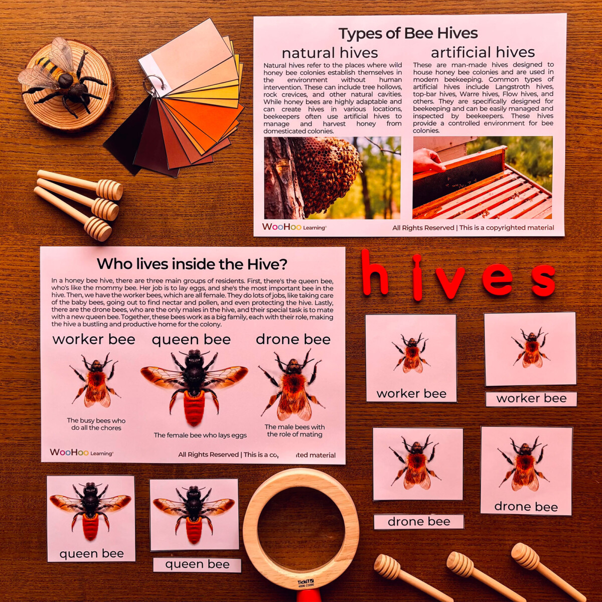 Honey Bee Unit Study | All About Honey Bees