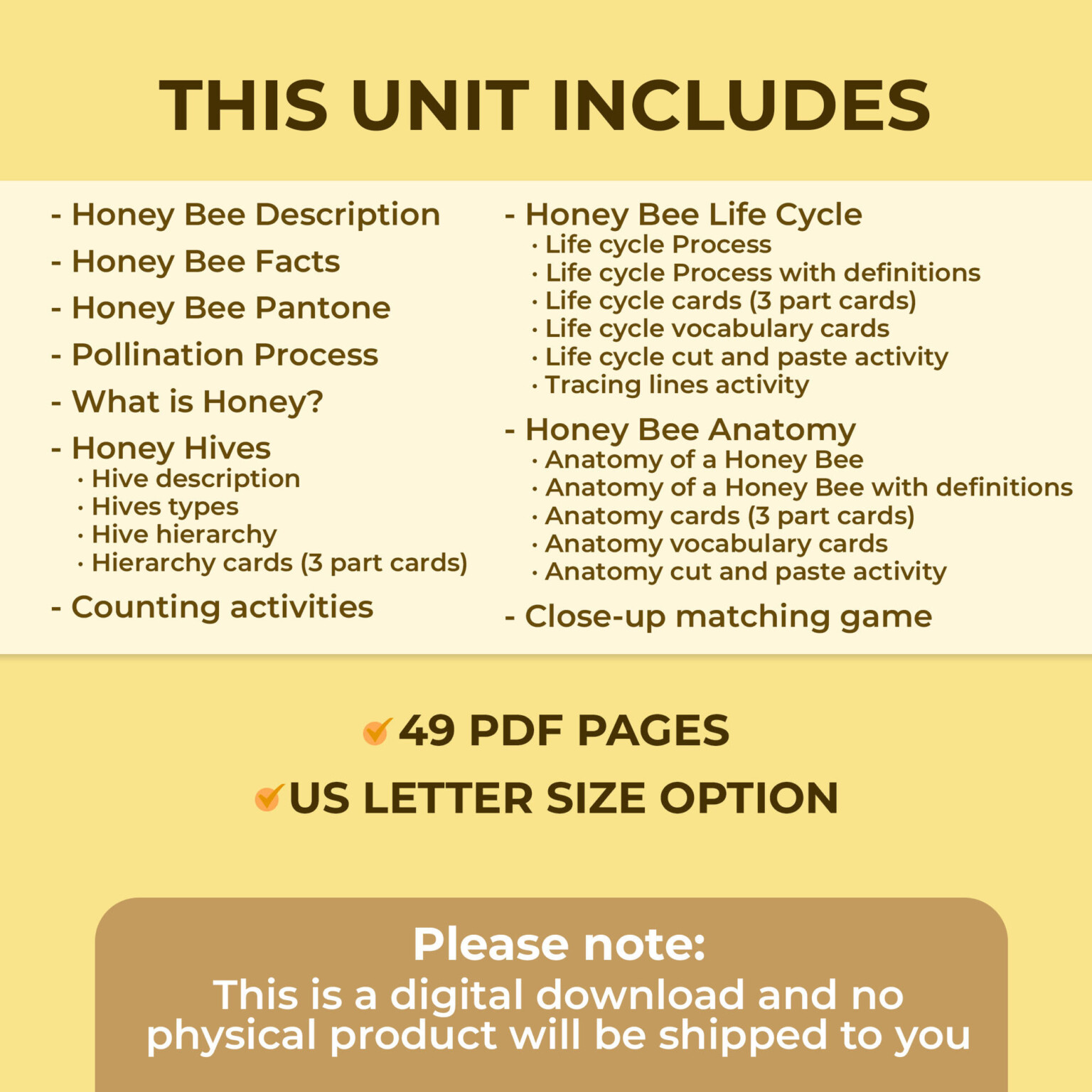 Honey Bee Unit Study | Montessori Unit Study