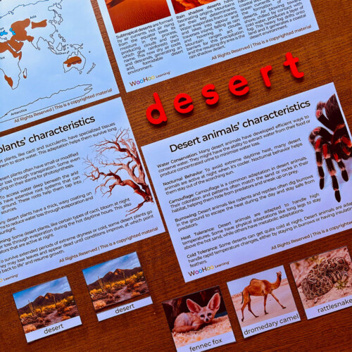 Habitats Unit Study | Biomes of the World