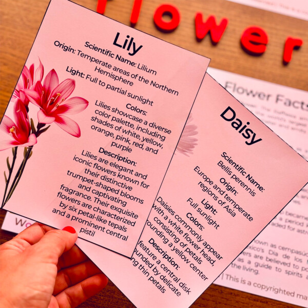 Flowers Unit Study | All About Flowers