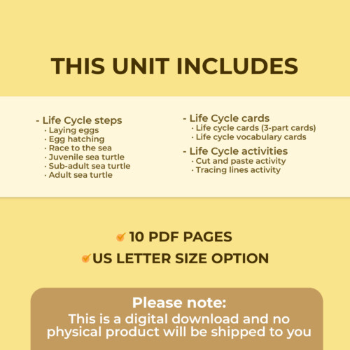 Sea Turtle Life Cycle Unit Study | Montessori Unit Study