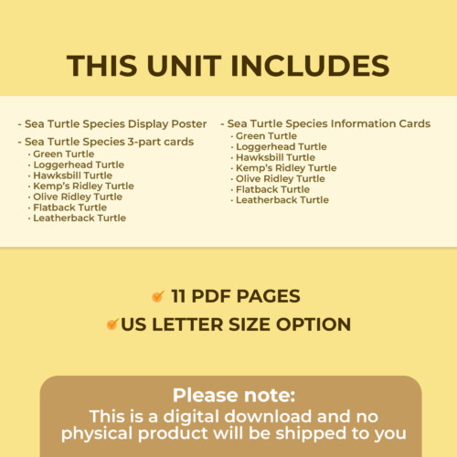 Sea Turtle Species Unit Study | Montessori Unit Study