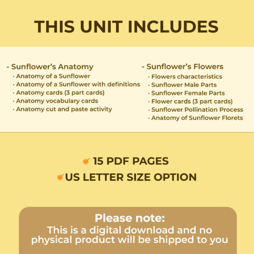 Sunflower Anatomy Unit Study | Montessori Unit Study