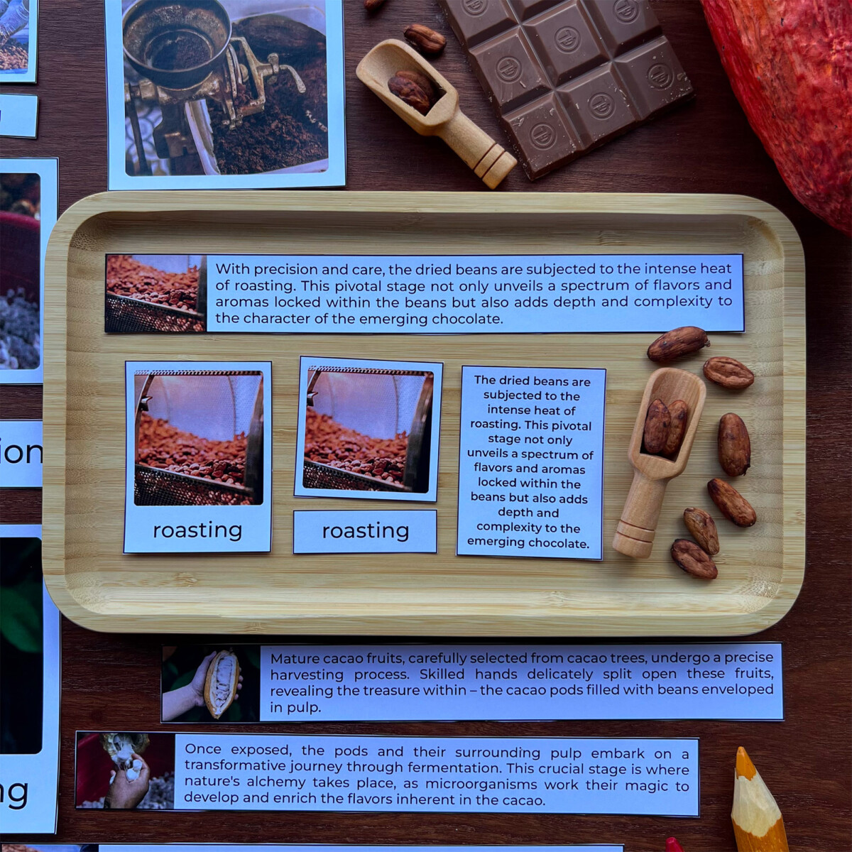 How Chocolate Is Made Montessori Unit Study