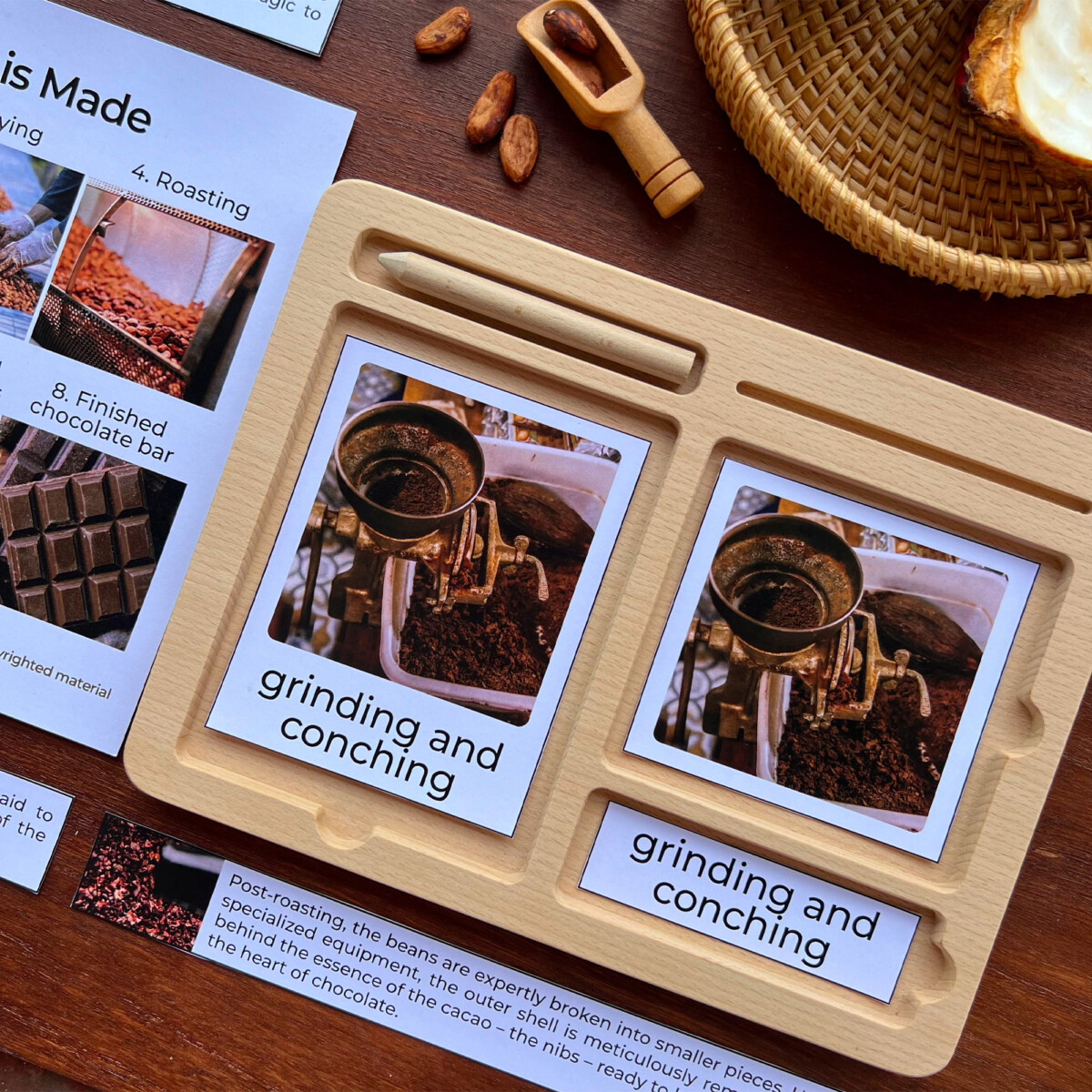 How Chocolate is Made | Montessori Unit Study