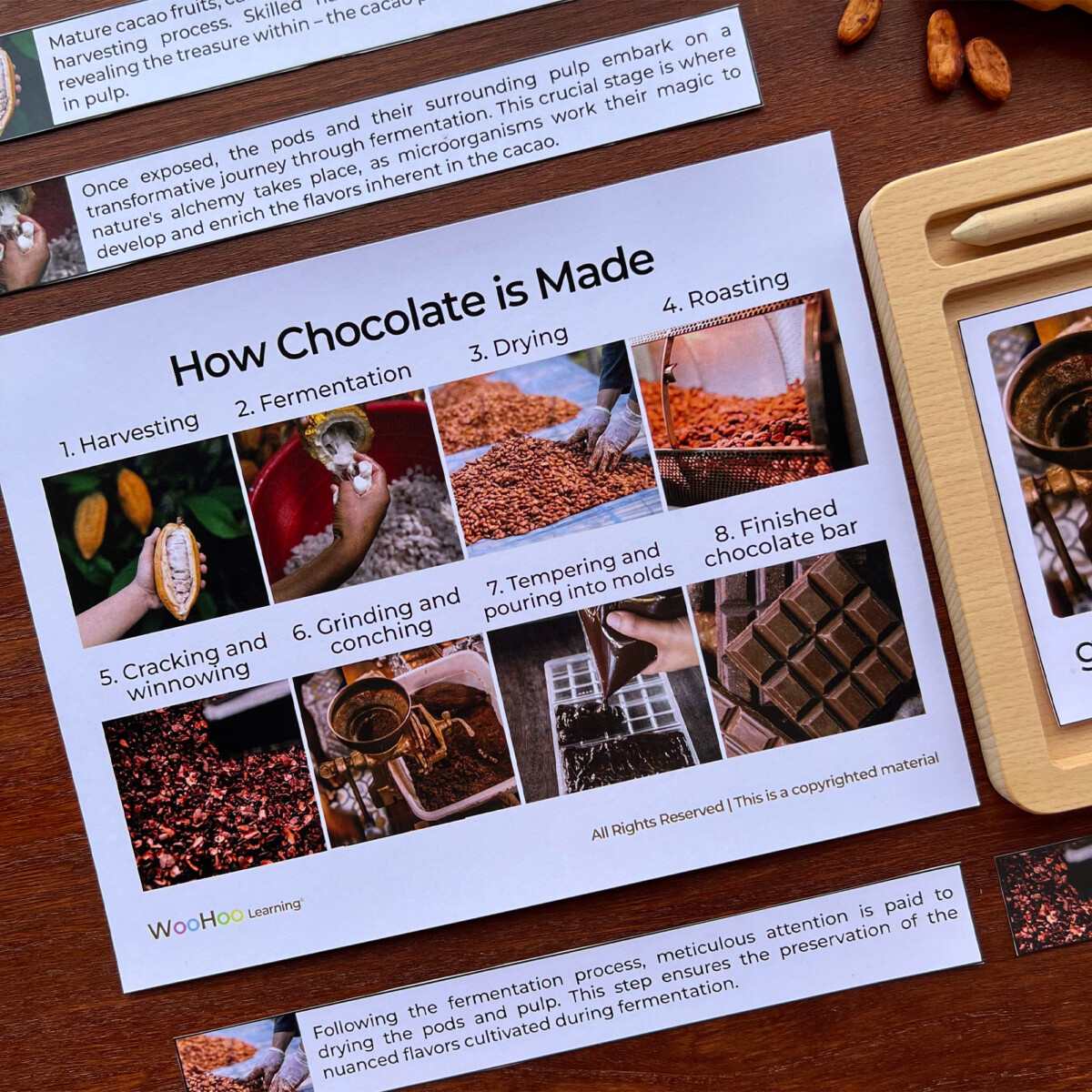 How Chocolate is Made | Montessori Unit Study