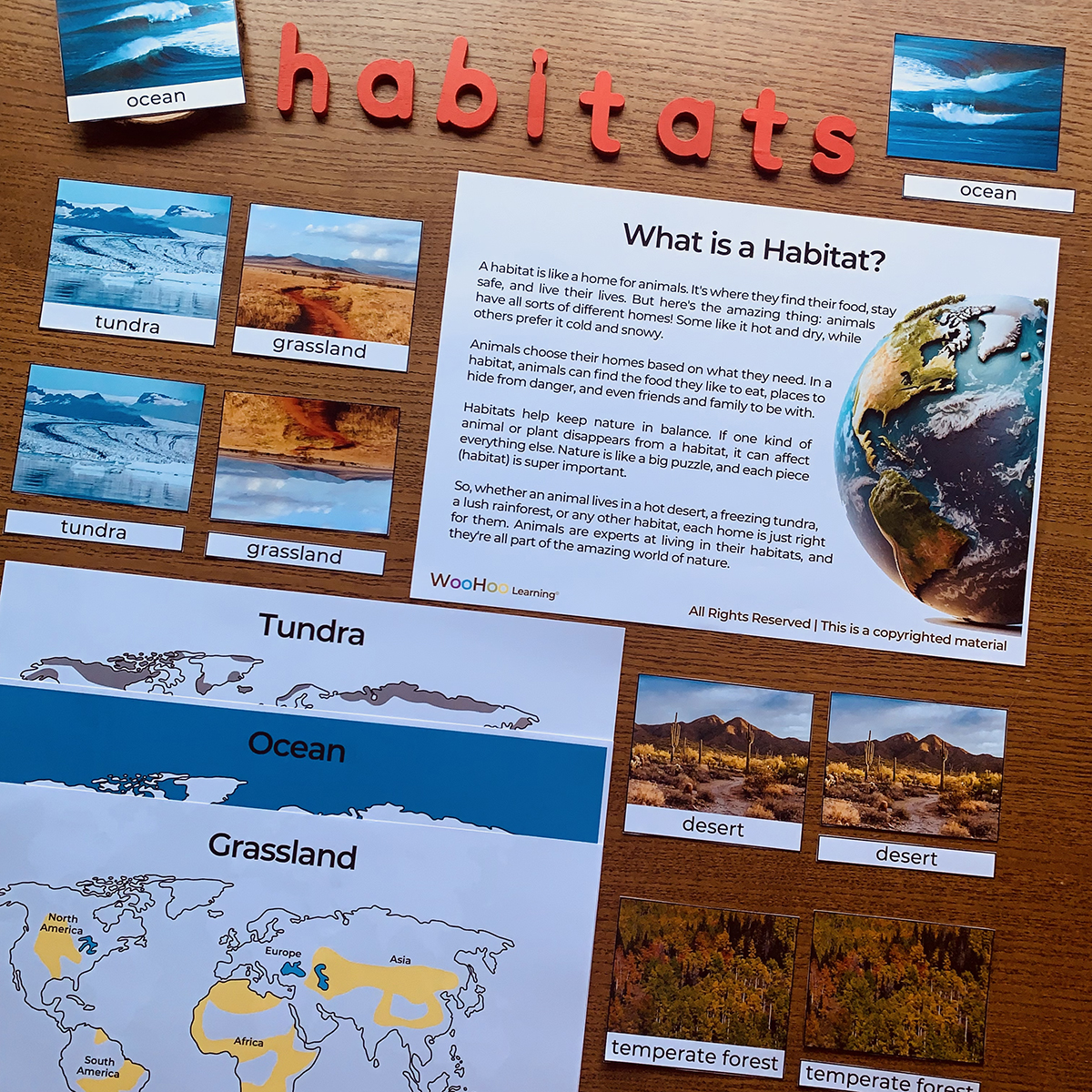 Habitats Unit Study | Biomes of the World