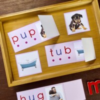 Pink Montessori Series | Montessori Language Printables