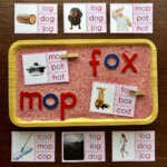 Pink Montessori Series | Montessori Language Printables