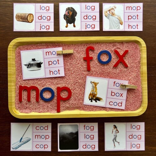 Pink Montessori Series | Montessori Language Printables