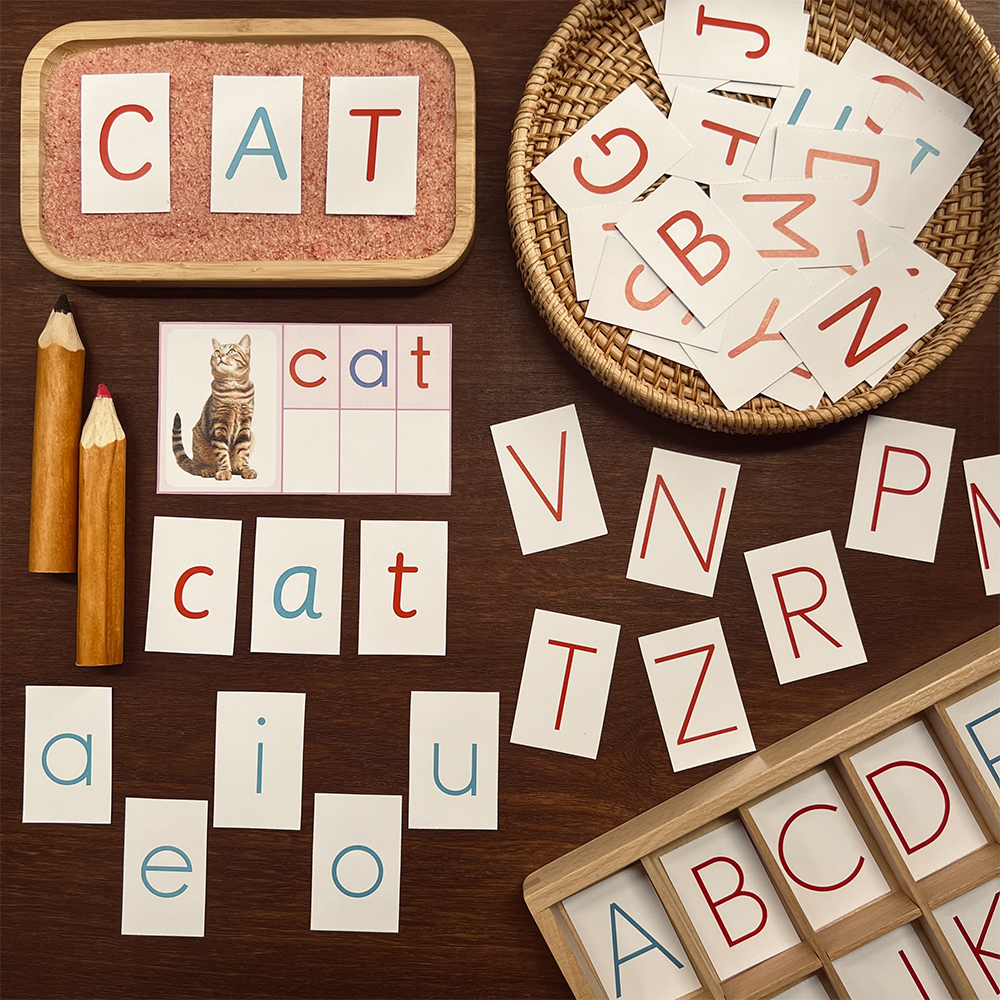 Movable Alphabet | Montessori Printable Alphabet Letters