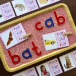 Pink Montessori Series | Montessori Language Printables